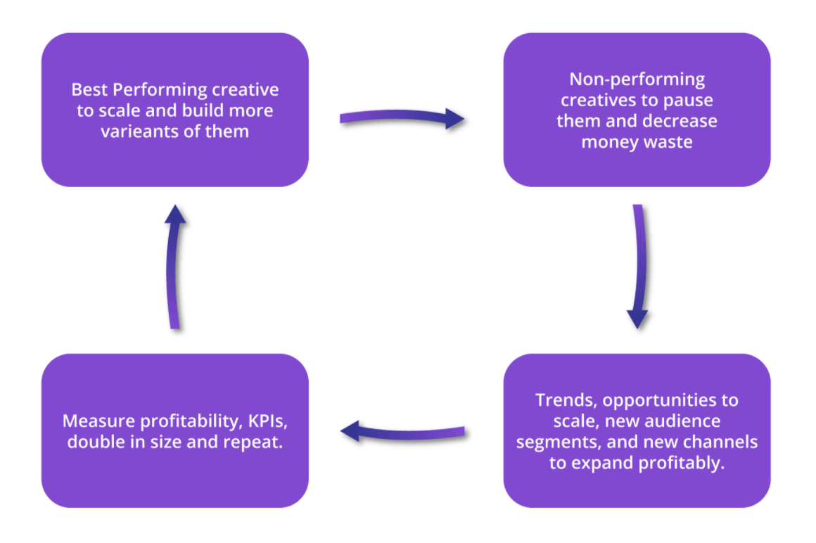 Tier Case Study - admiral.media
